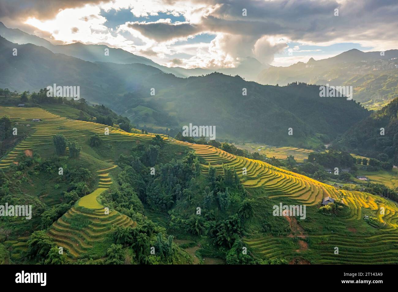 Aerial view of rice field or rice terraces , Sapa, Vietnam. Y Linh Ho ...