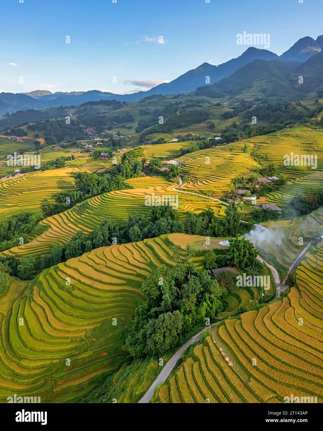 Aerial view of rice field or rice terraces , Sapa, Vietnam. Y Linh Ho ...