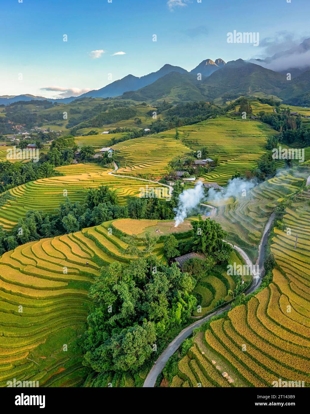 Aerial view of rice field or rice terraces , Sapa, Vietnam. Y Linh Ho ...