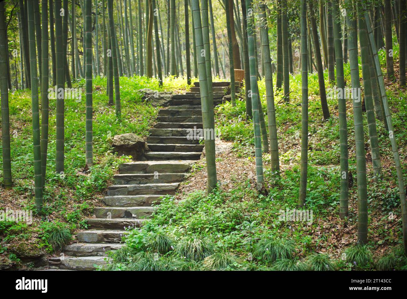 Japanese zen garden stairs hi-res stock photography and images - Alamy