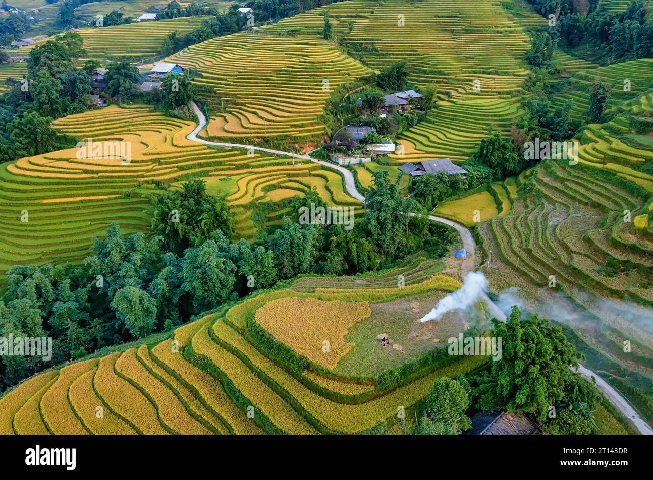 Aerial view of rice field or rice terraces , Sapa, Vietnam. Y Linh Ho ...