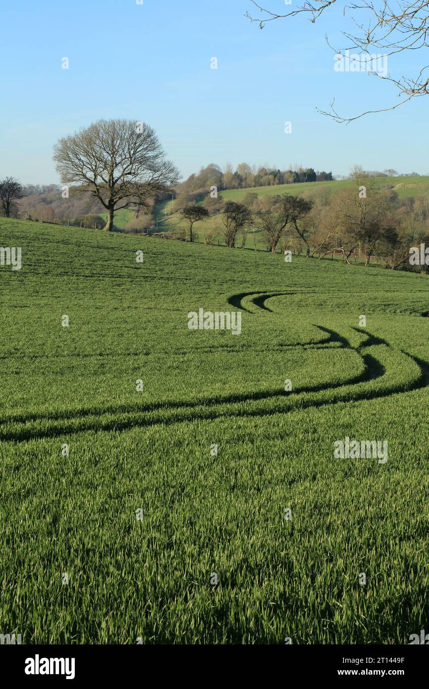Field in April on the North Downs close to Spong Wood, Elmsted, Ashford ...