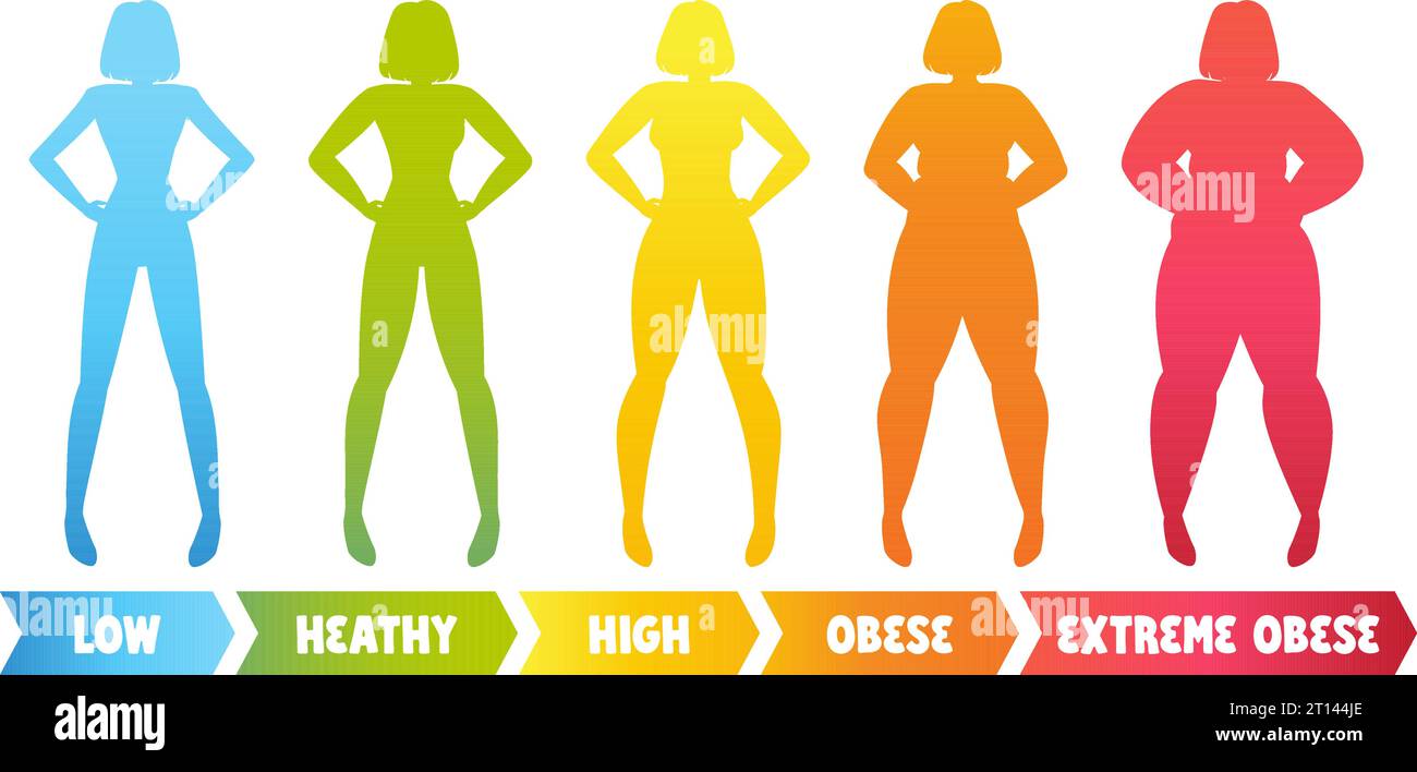 Woman types obesity Girl with low and high BMI index. Fatness concept ...