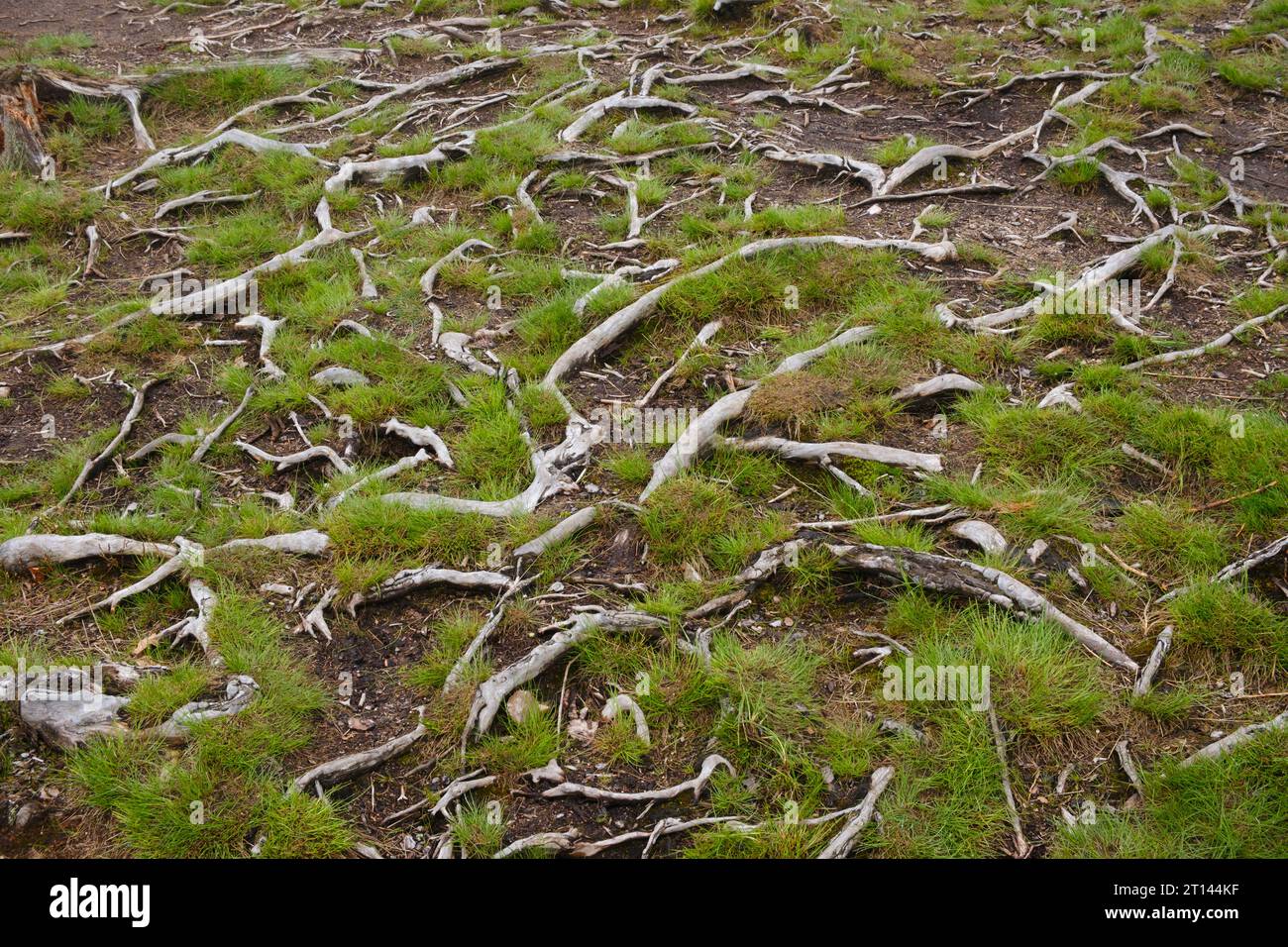 Ground zone hi-res stock photography and images - Alamy