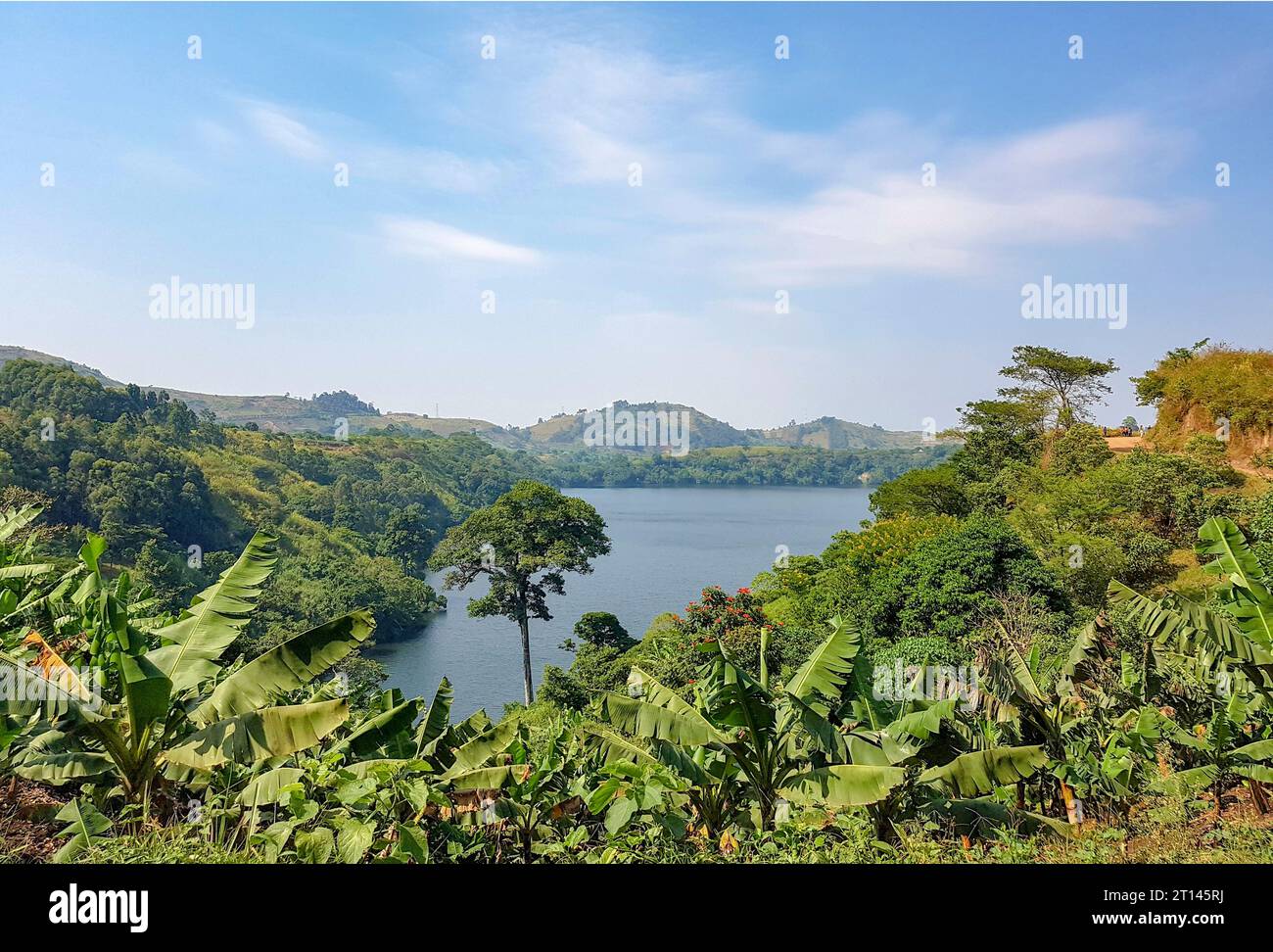 Sunny scenery around a lake in the Kabarole District in Uganda, Africa ...