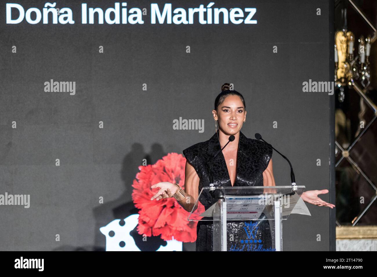 Spanish singer india martinez hi-res stock photography and images - Alamy
