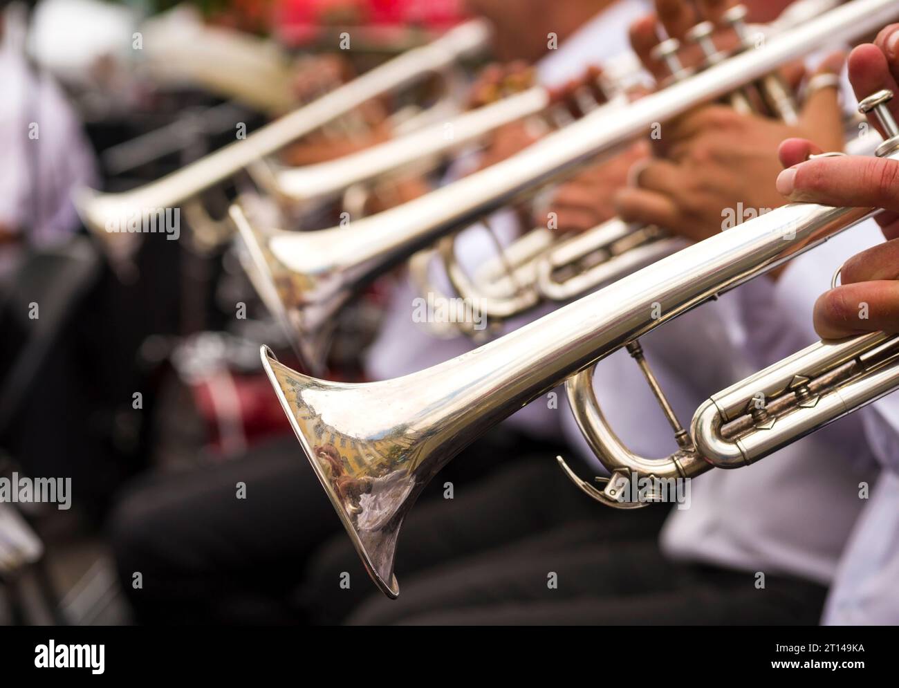 Wind instruments. Hands on musical instruments. Musicians play pipes ...