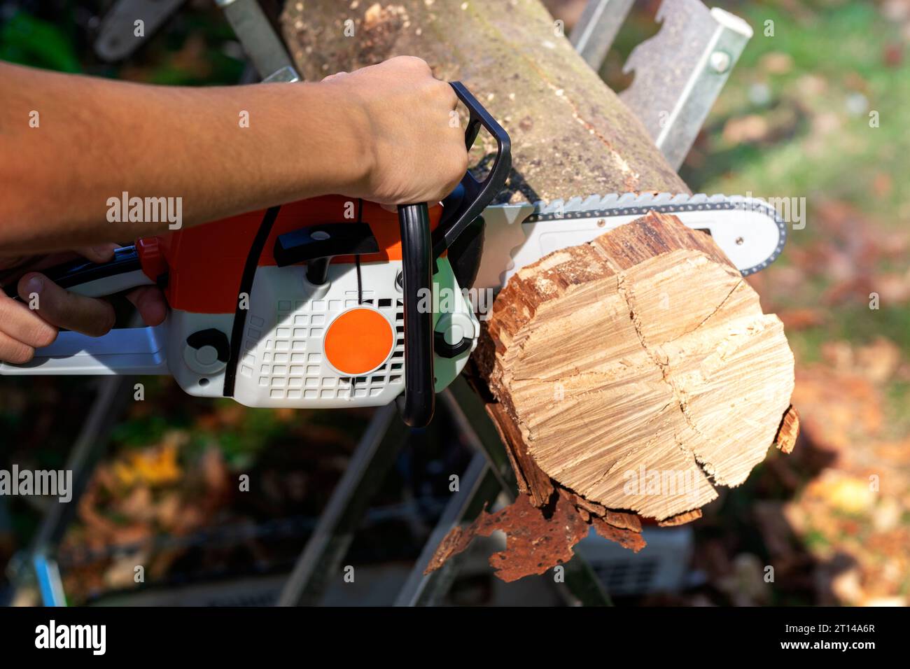 hand hold the chainsaw. Log cut chainsaw. Preparation of firewood for ...
