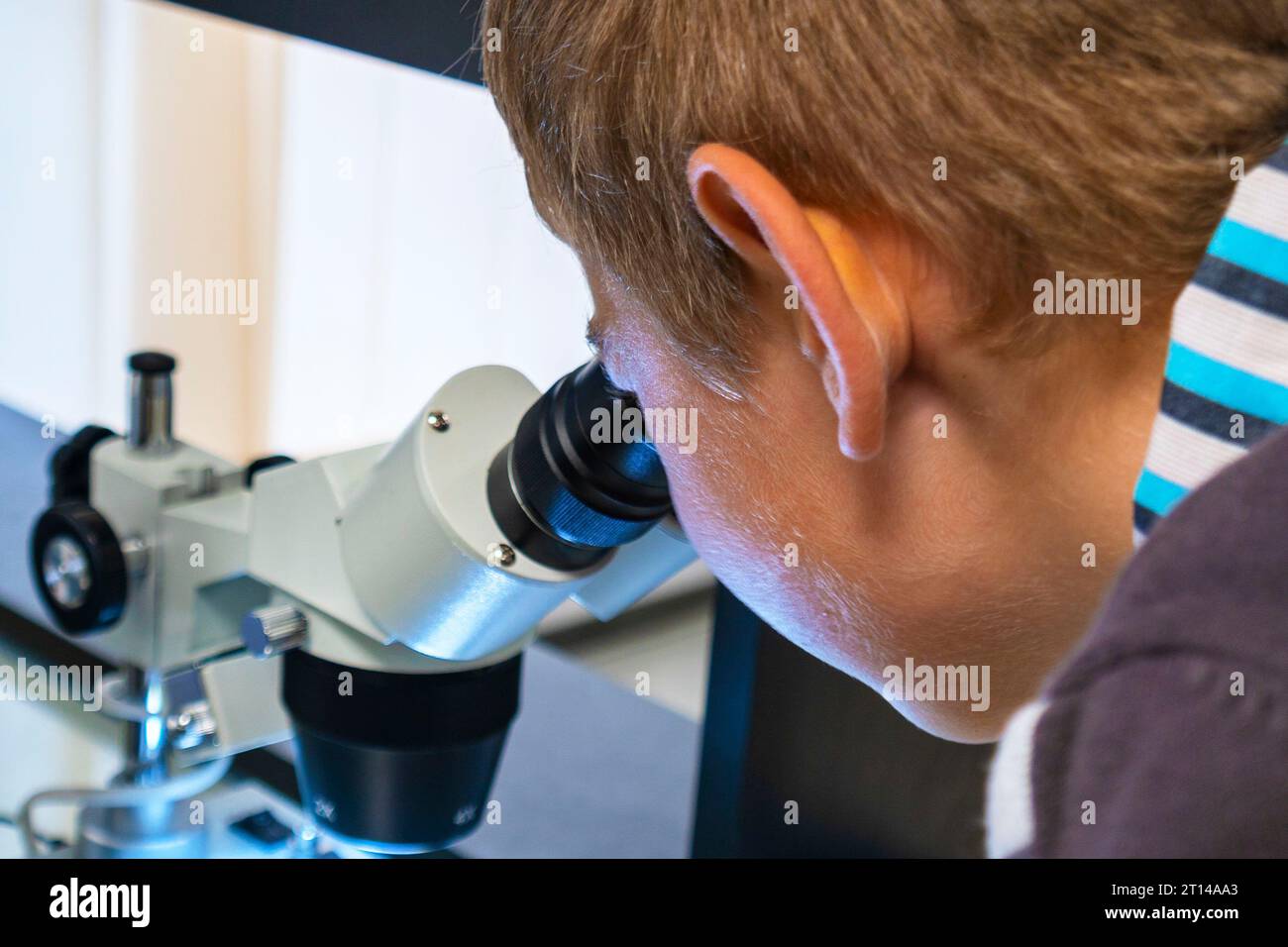 school student with microscopes in laboratory. microscopes on a table ...