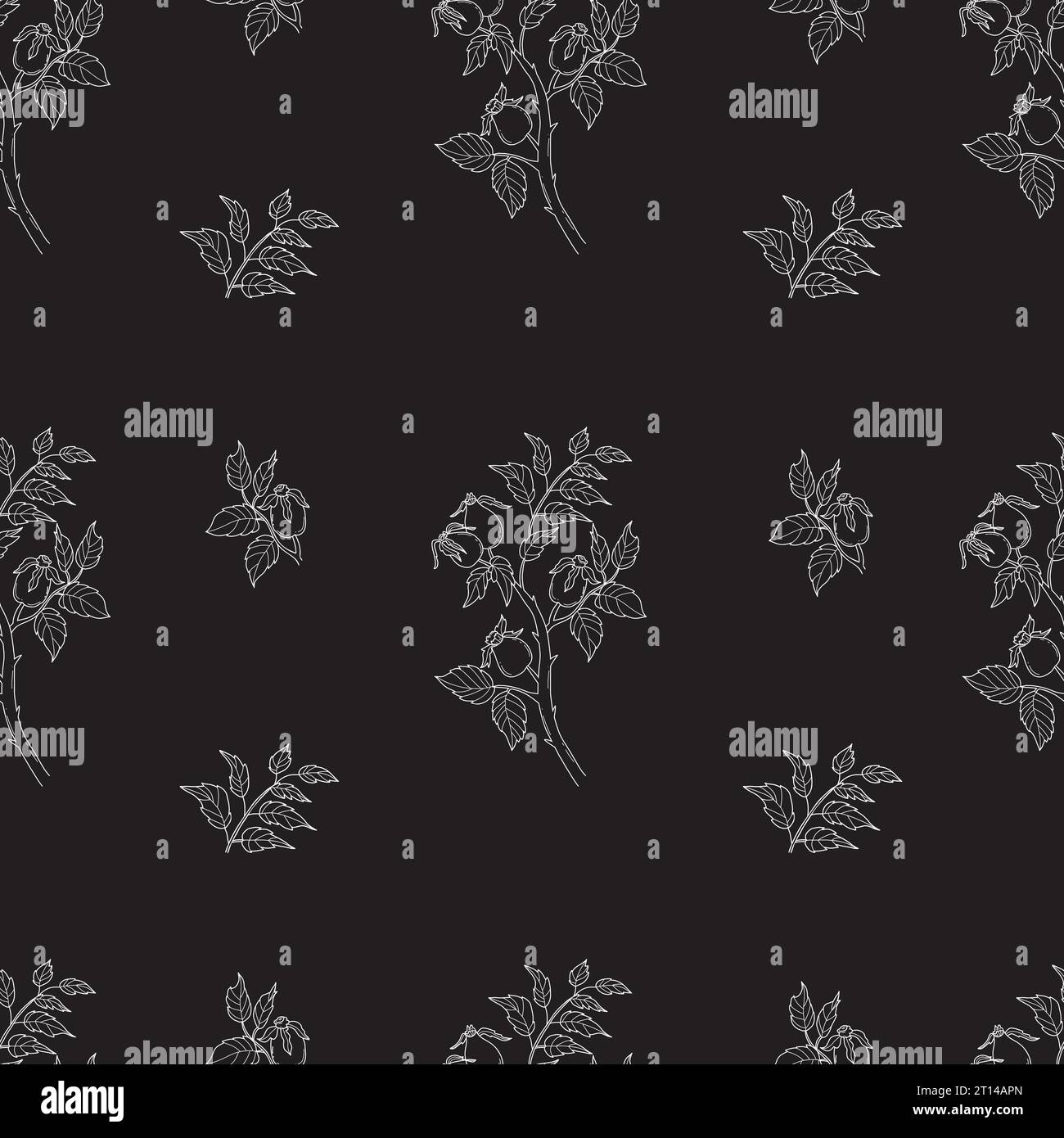 Rosehip seamless pattern. White line hand drawing of rosehip branch ...