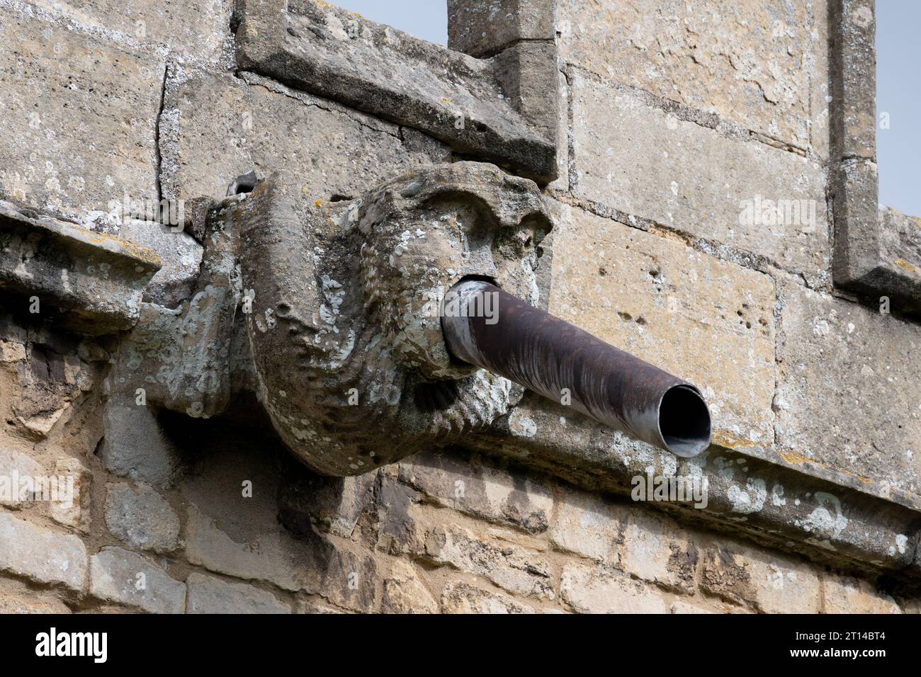 Mary weldon hi-res stock photography and images - Alamy