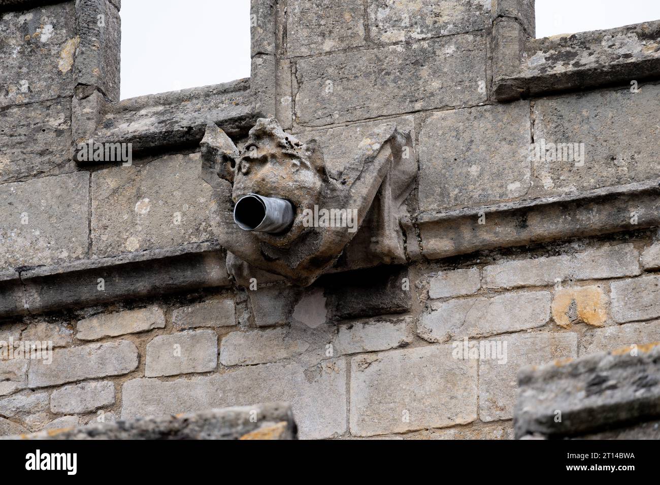 A gargoyle on St. Mary the Virgin Church, Weldon, Northamptonshire ...