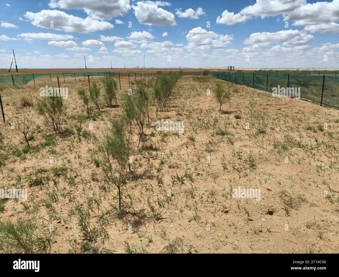 (231011) -- BEIJING, Oct. 11, 2023 (Xinhua) -- This photo taken in June ...