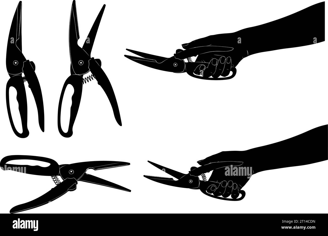 Illustration of different kitchen scissors isolated on white Stock ...