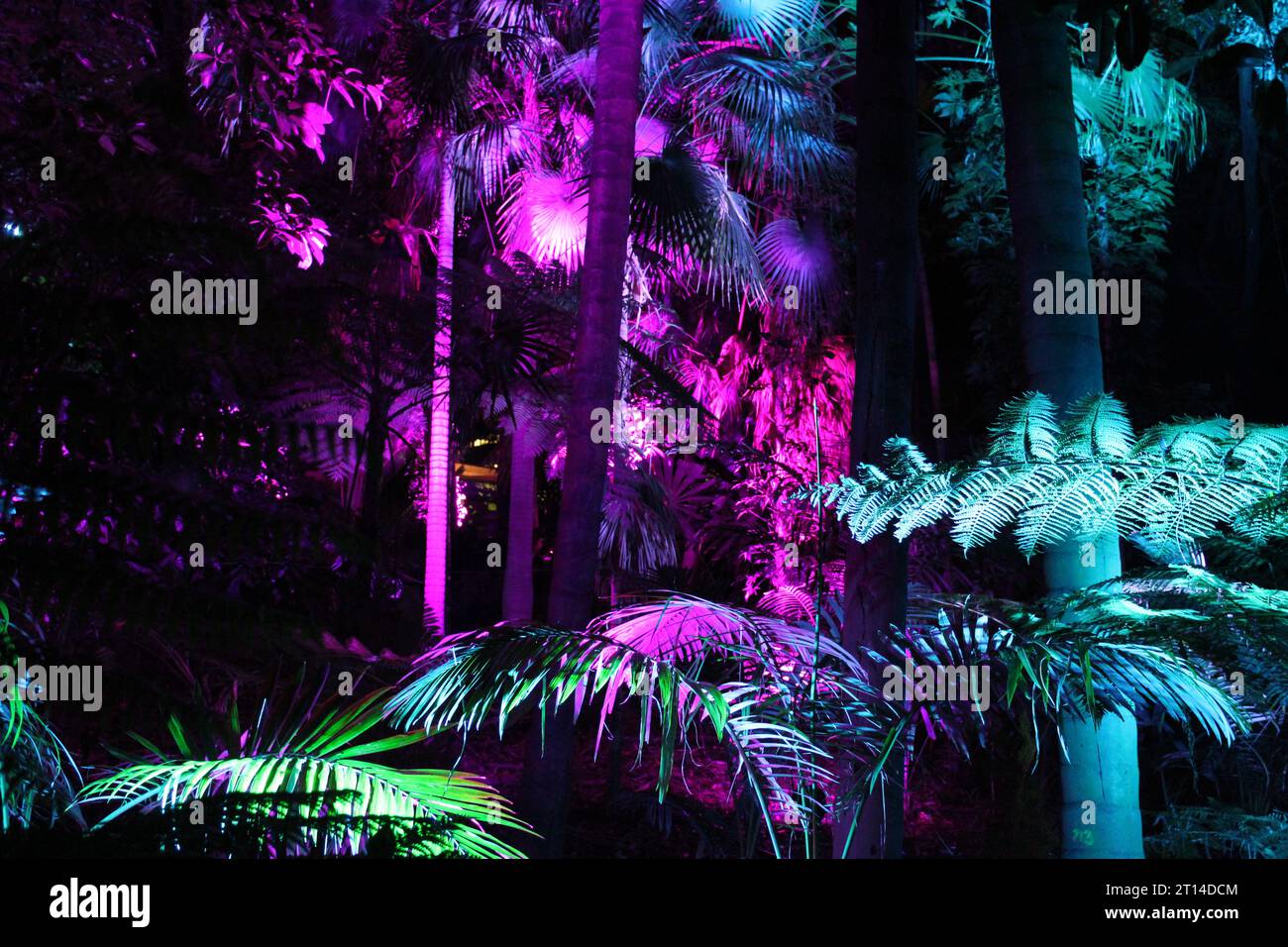 These are my favourite photos that I've taken over the years. Nature is ...