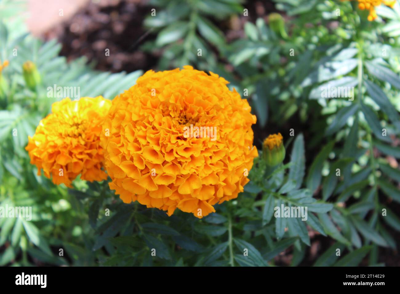 These are my favourite photos that I've taken over the years. Nature is ...