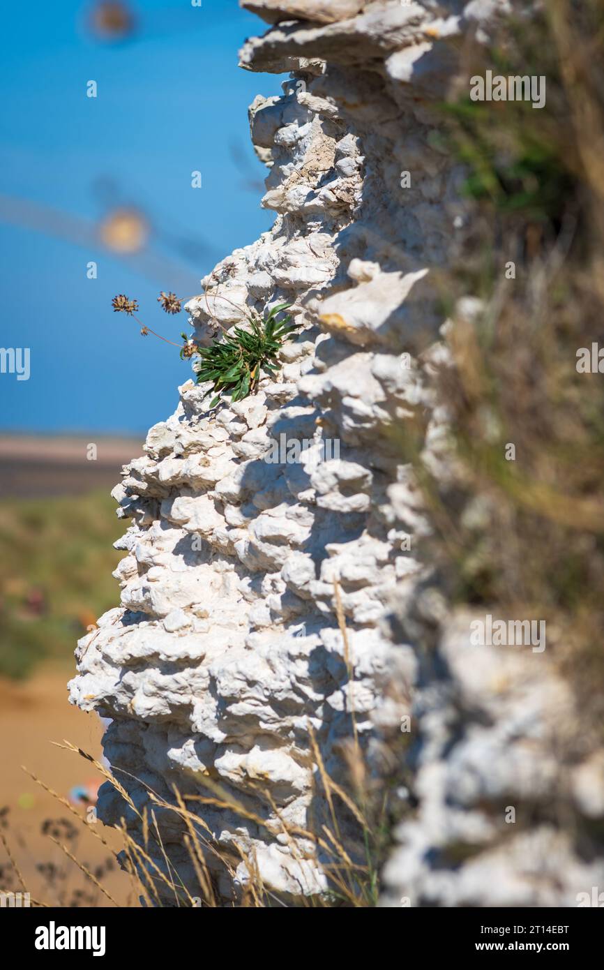 White sandstone cliffs on british beach in england uk Stock Photo - Alamy
