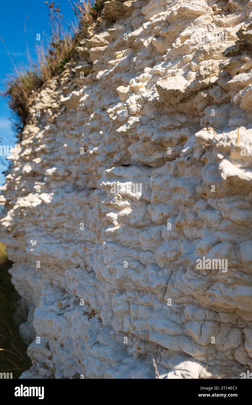 White sandstone cliffs on british beach in england uk Stock Photo - Alamy