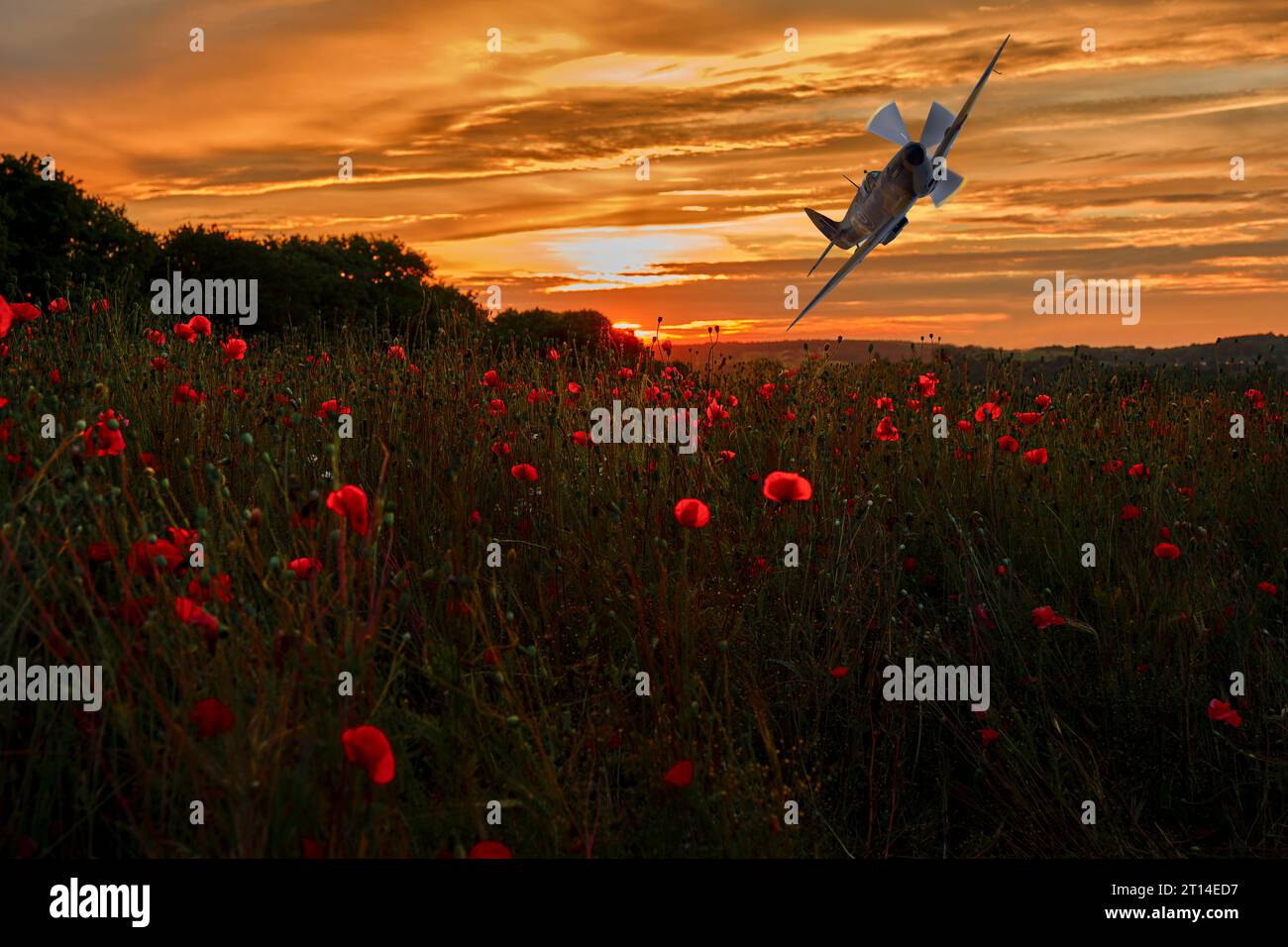 2021 remembrance parade hi-res stock photography and images - Alamy