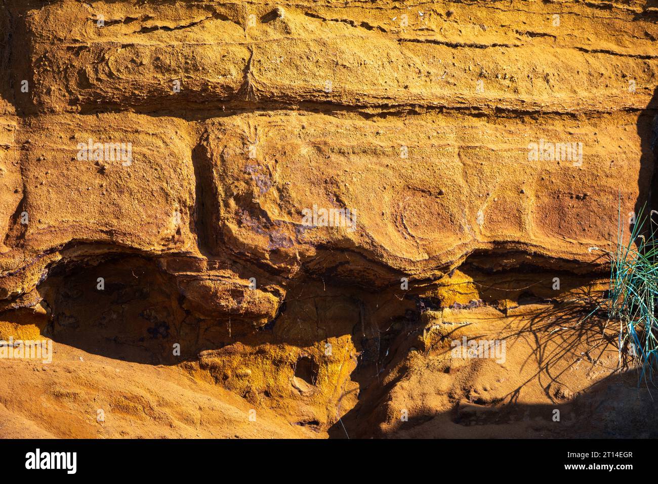 Colourful sandstone cliffs on british beach in england uk Stock Photo ...