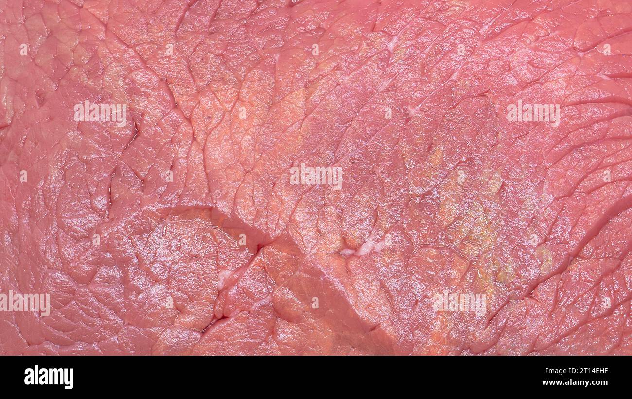 Beef red meat texture background. Fresh beef piece background. Meat ...