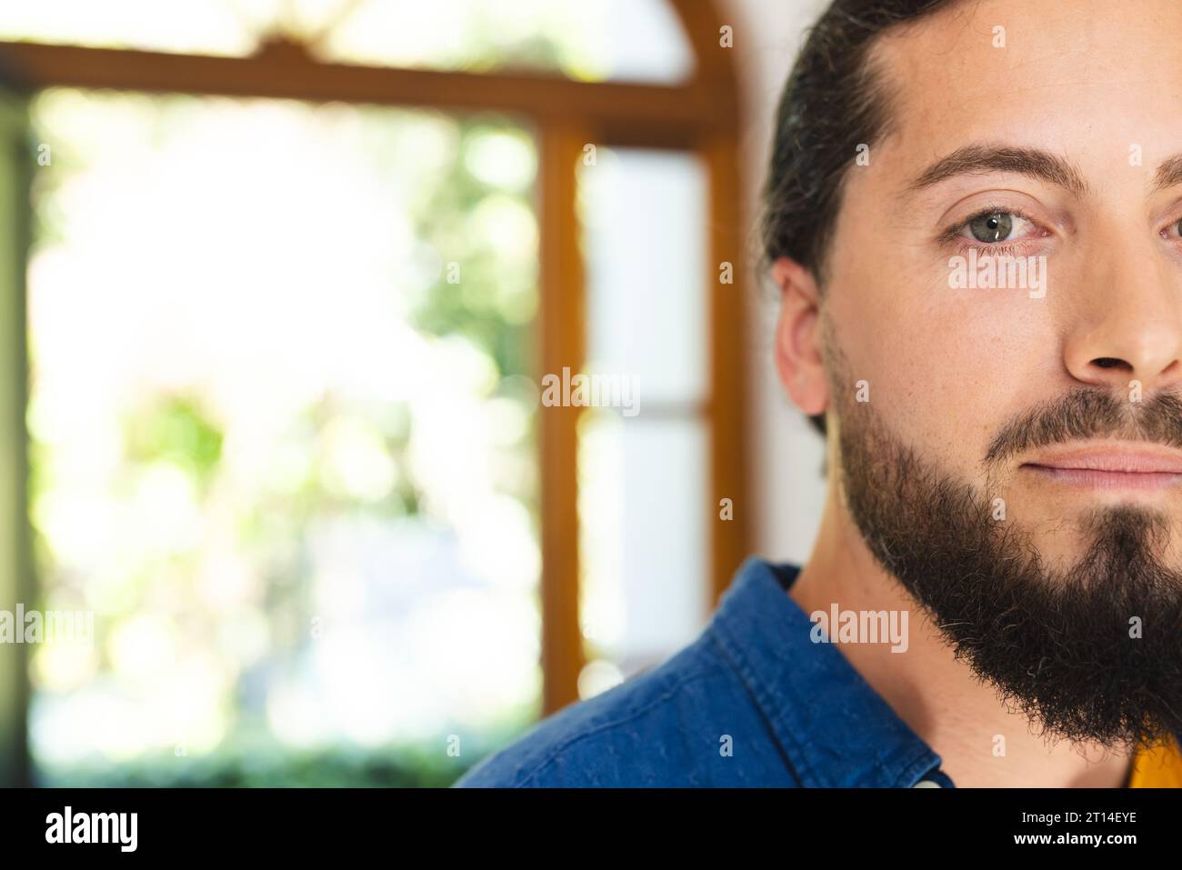 Half portrait caucasian man beard hi-res stock photography and images ...