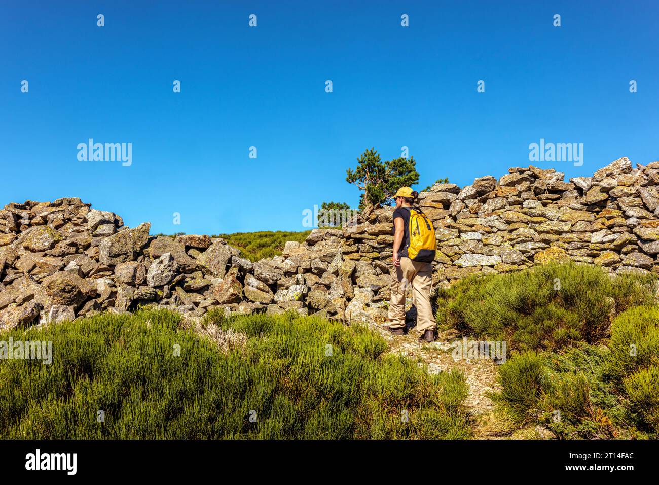 Alpine Battalion path and facing a stone wall, which is part of the ...