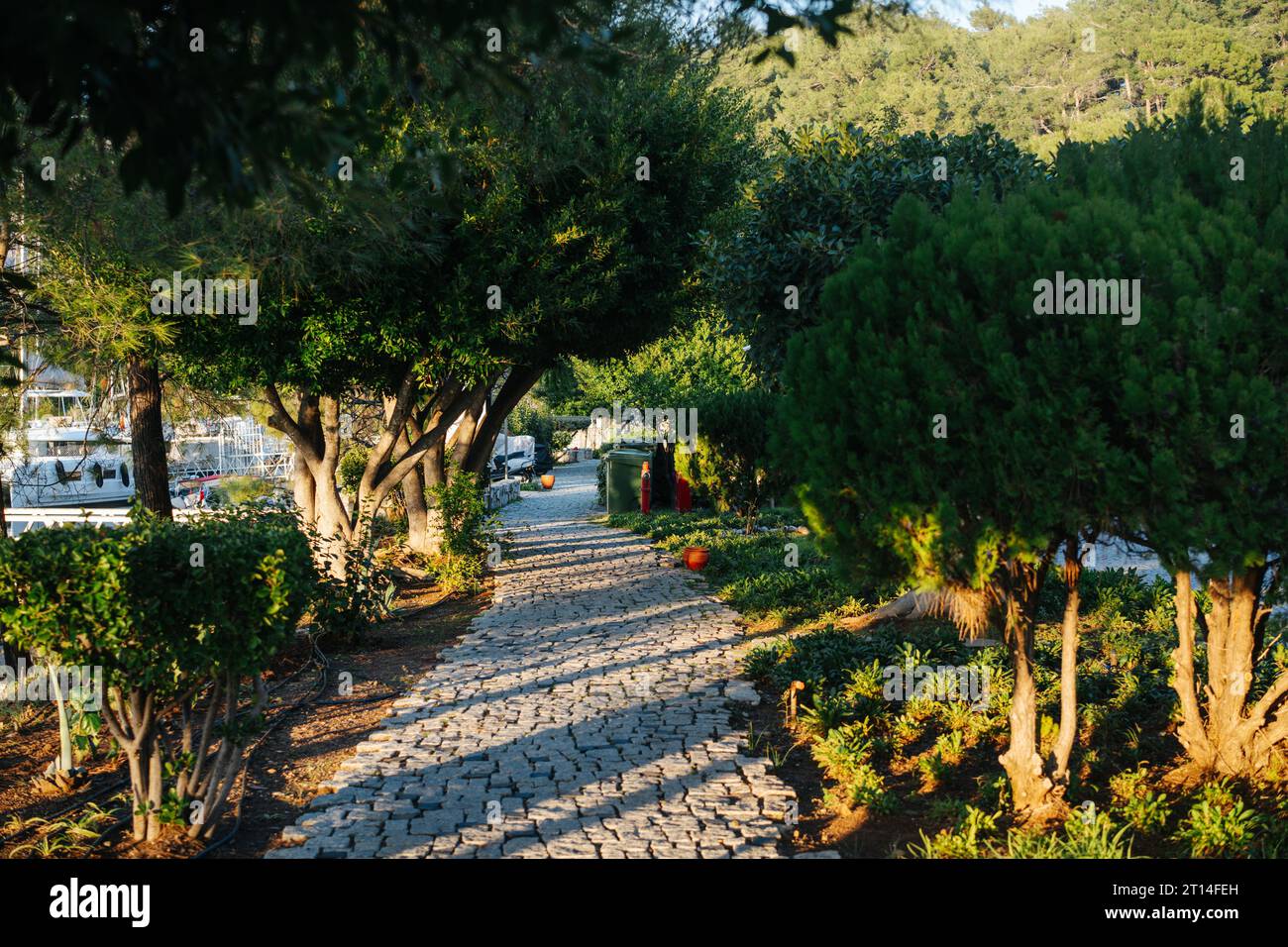 Narrow path in shade hi-res stock photography and images - Alamy