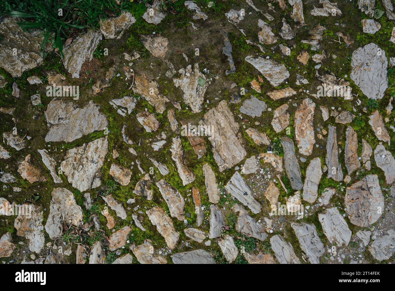Ancient stone pavement overgrown with moss and grass, photo texture ...