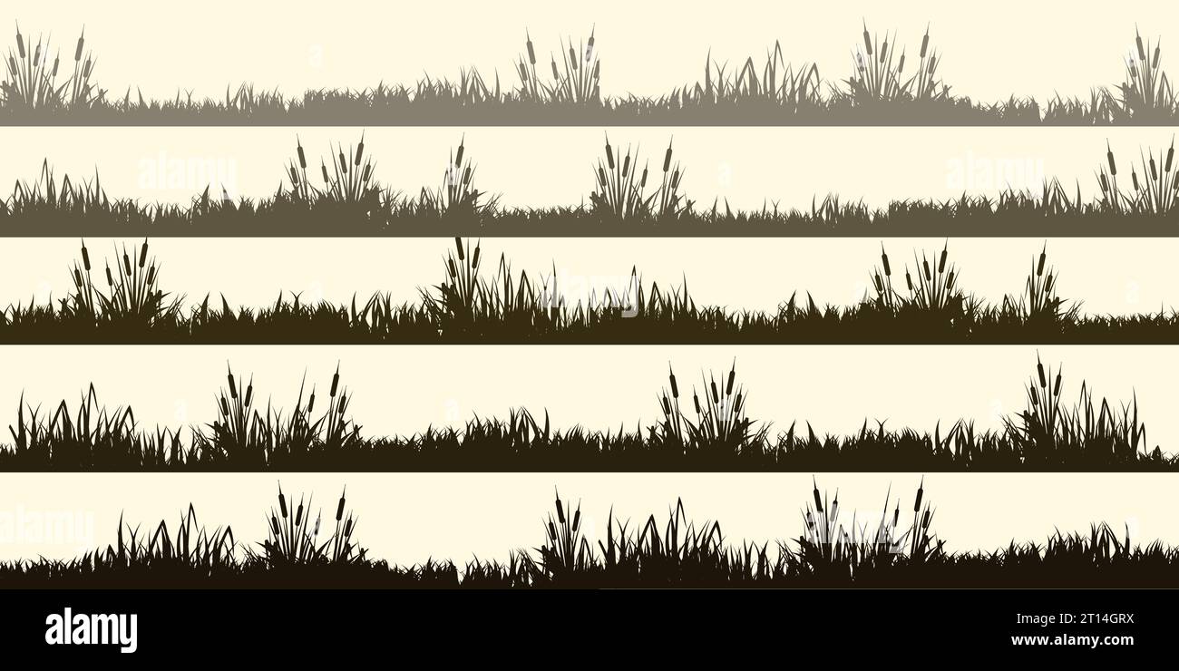 Meadow silhouettes with grass, plants on plain. Panoramic summer lawn ...