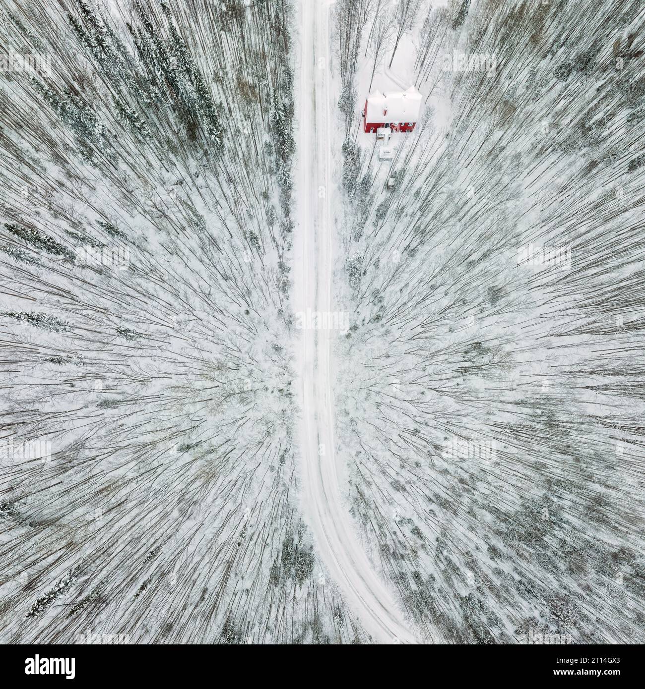 An aerial view of a solitary white house near a winding road covered in ...