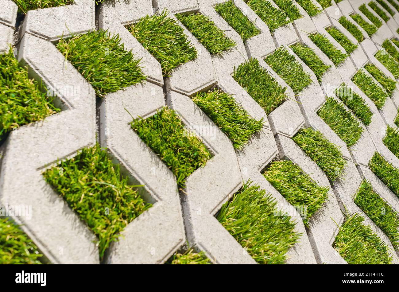 Side View Of Paving Stones With Grass For Parking Vehicles Parking Lot With Cobblestones And