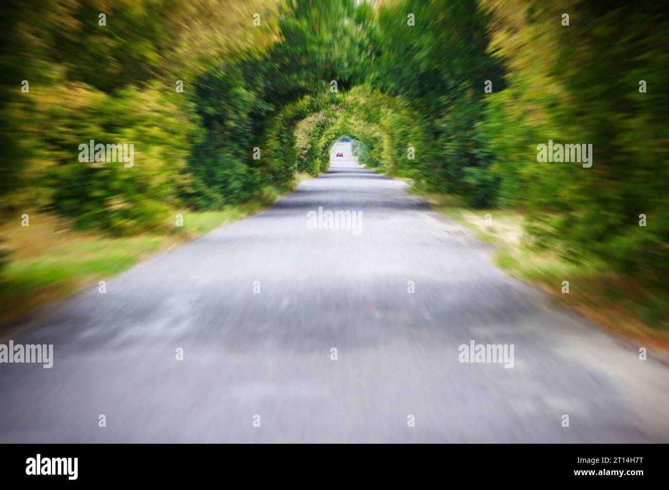 Tunnel vision:Road in motion speed on the asphalt forest road blur ...