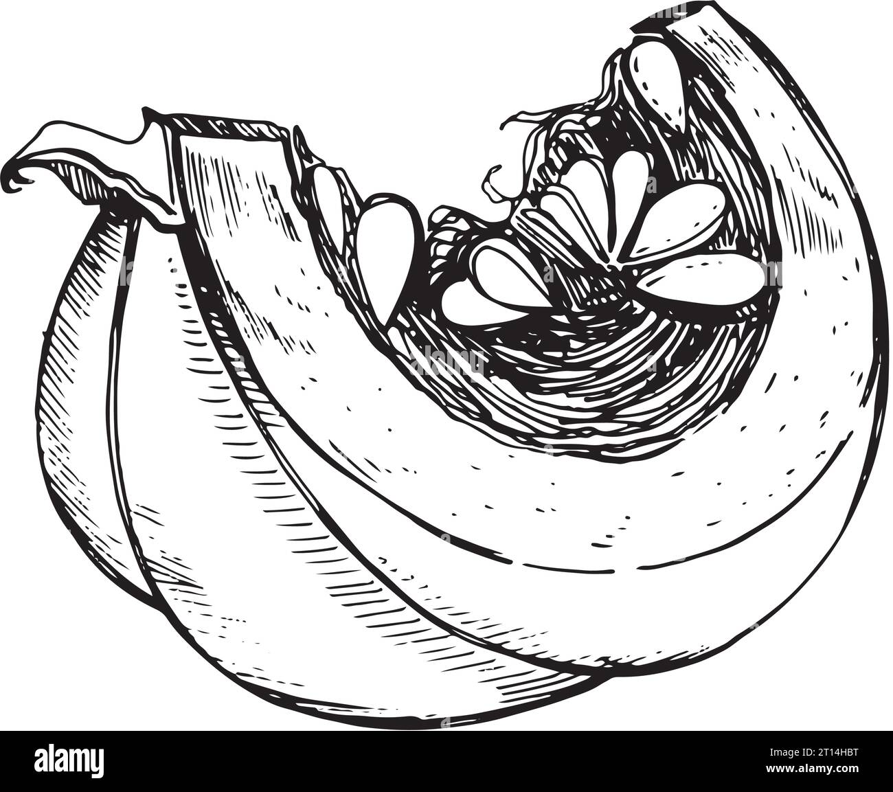 Vector illustration. A pumpkin slice with seeds inside, drawn as a ...