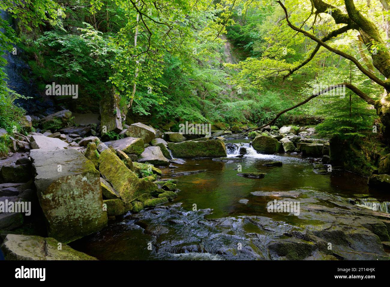 The River Esk flowing quickly over and around moss covered boulders ...