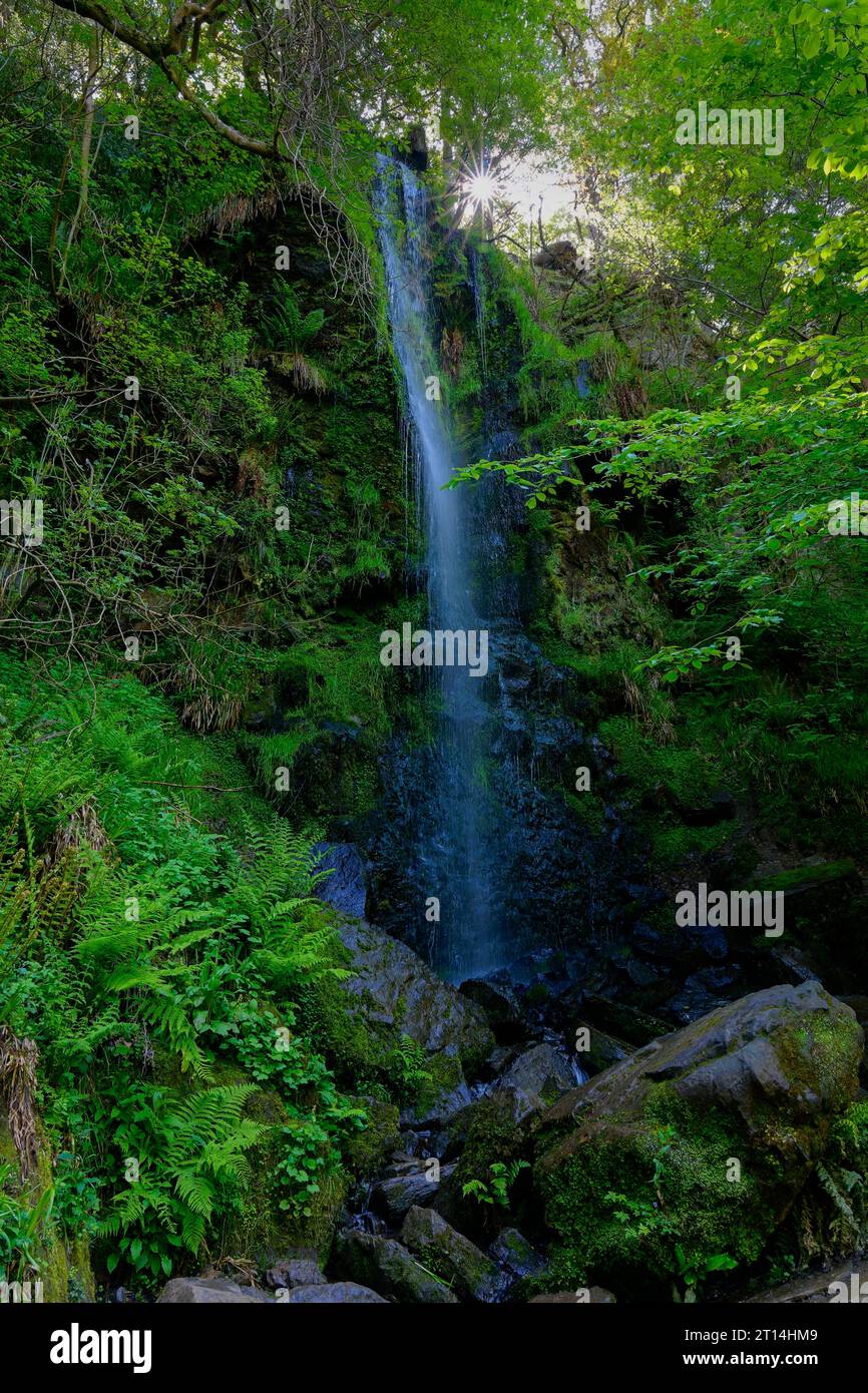 West Beck stream becomes Mallyan Spout waterfall as it drops over 21 ...