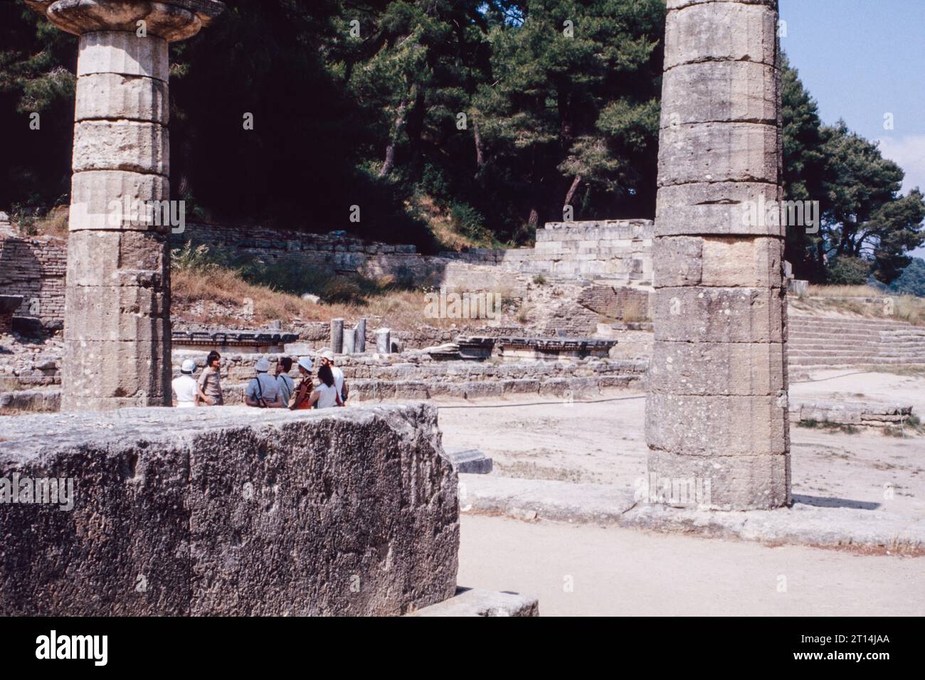 Doric columns of the Temple of Hera at Olympia - a small town in Elis ...
