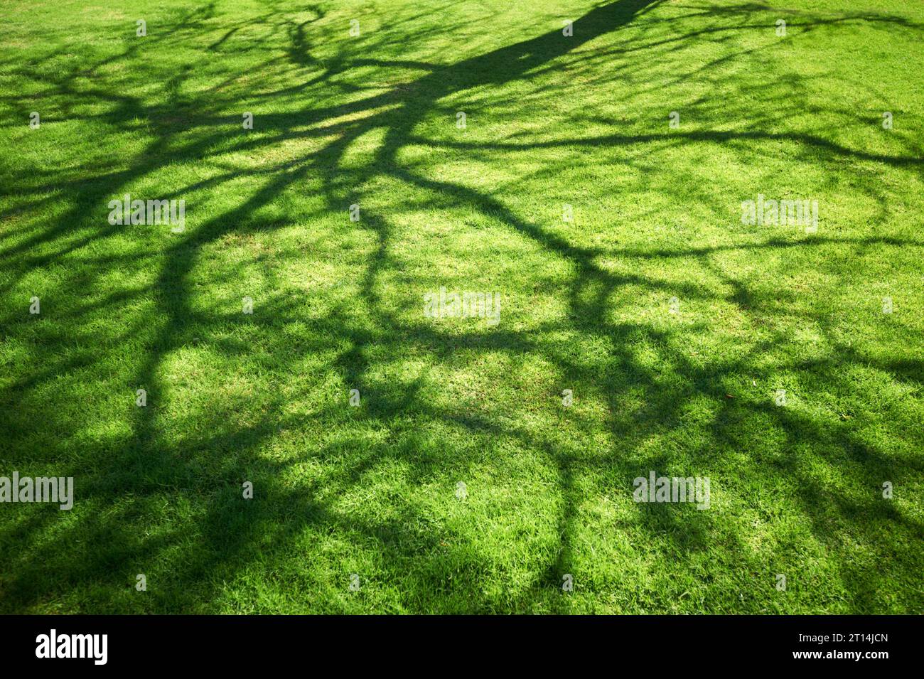 Greennature hi-res stock photography and images - Alamy