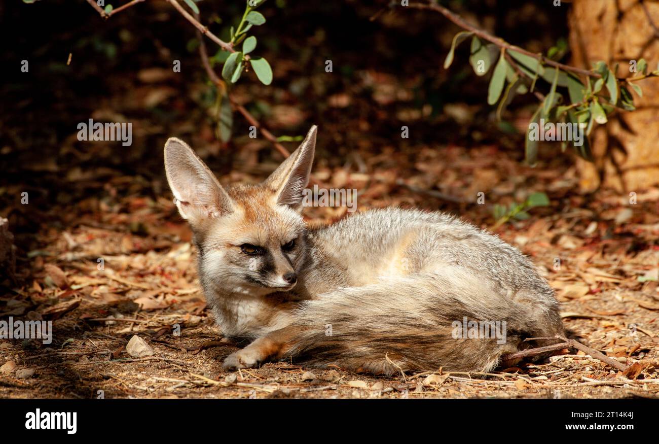 Beauty of balochistan hi-res stock photography and images - Alamy