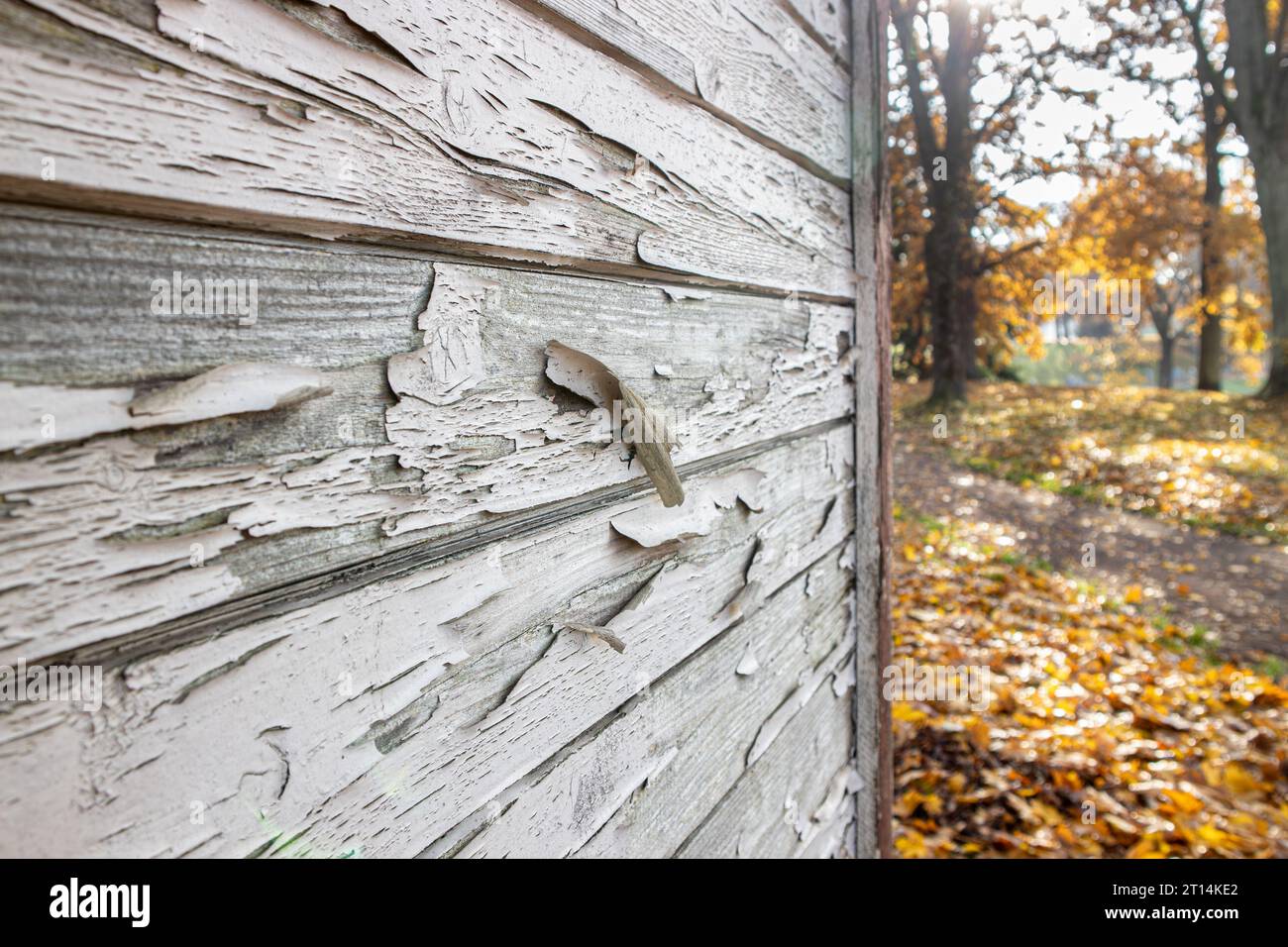Close up view of wood house building timber wall with white paint ...