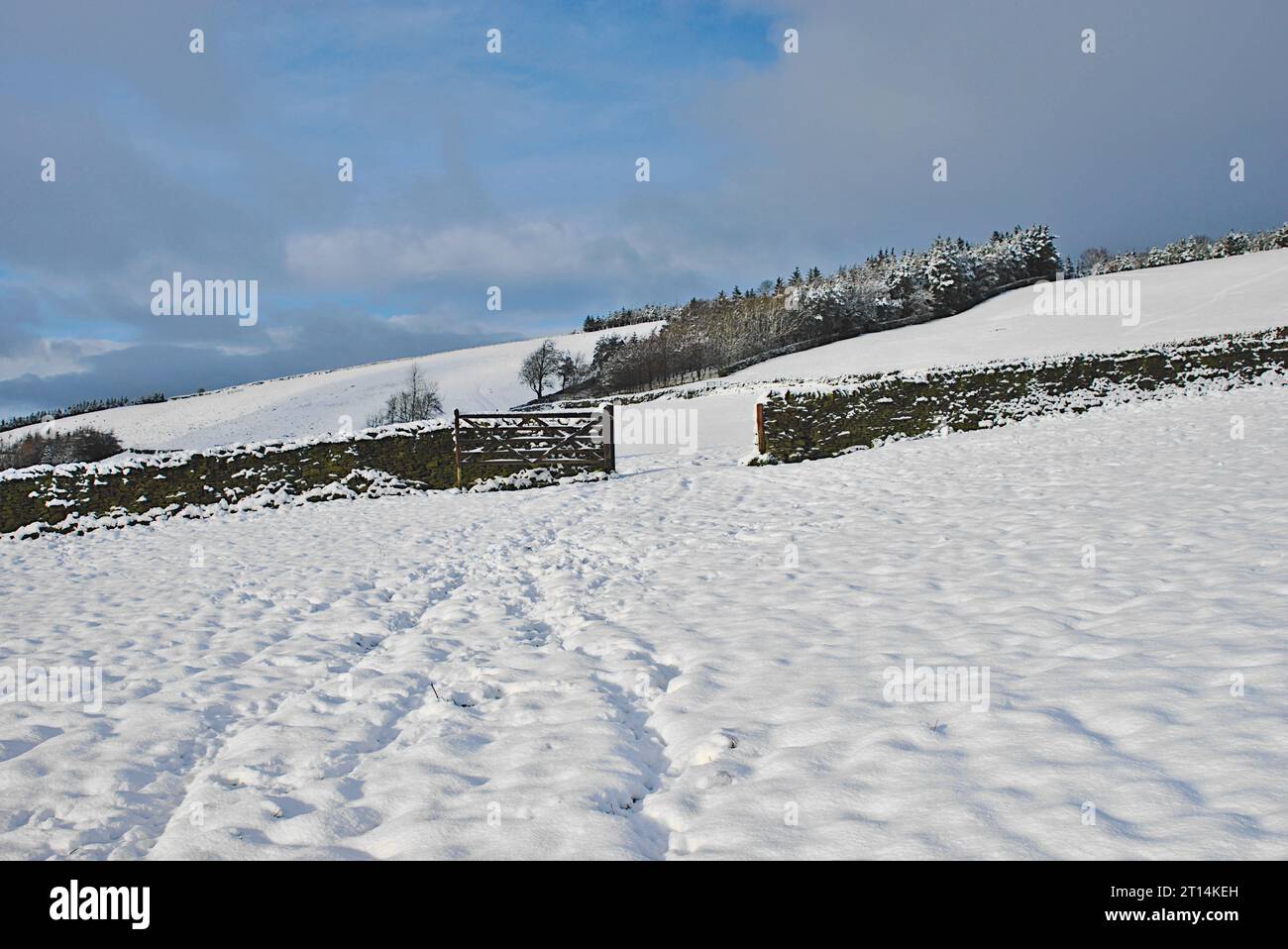 Snowy Winter Wonderland on the footpath from Lothersdale to Pinhaw ...