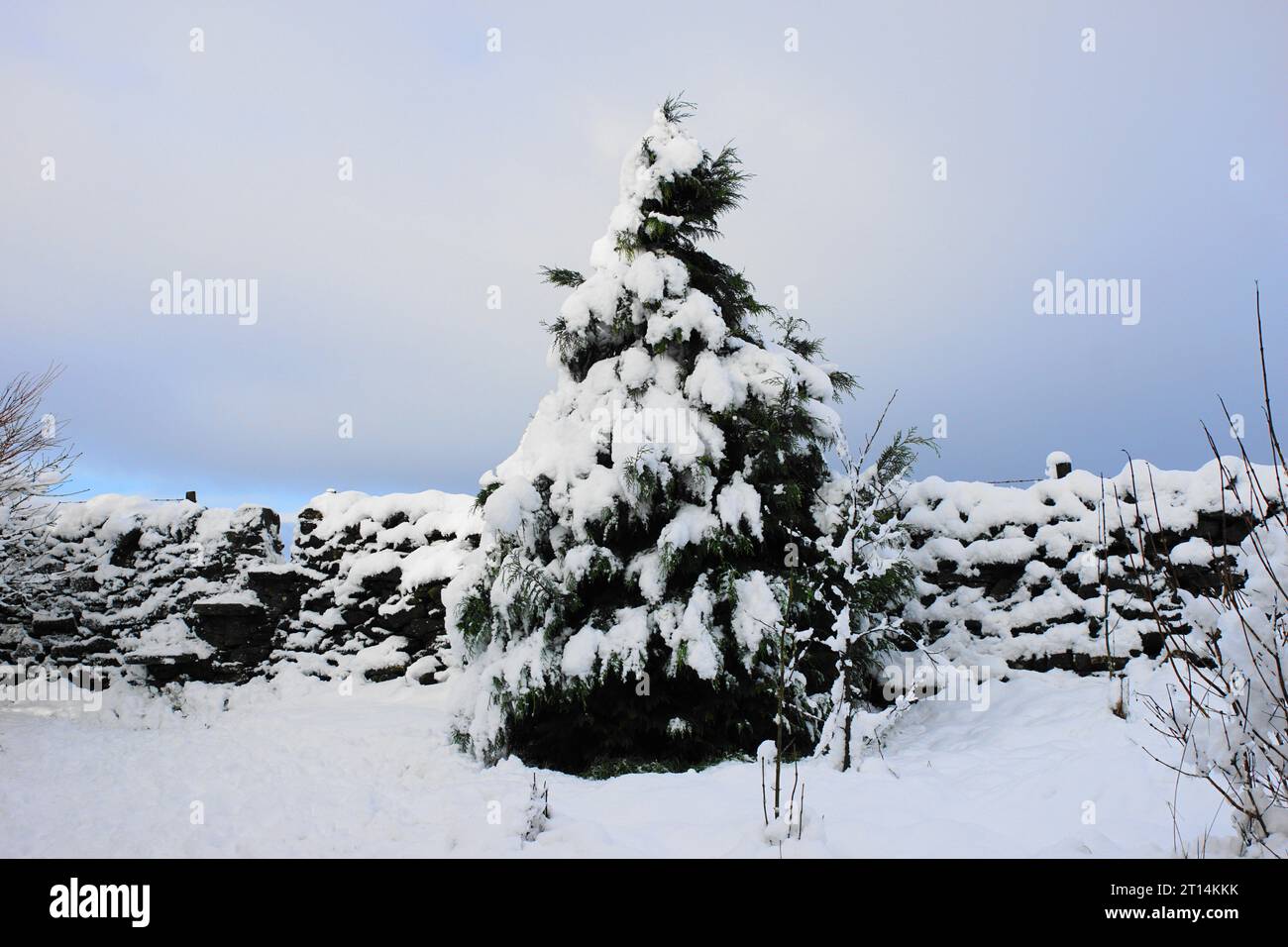 Snowy Winter Wonderland on the footpath to Pinhaw Beacon from ...