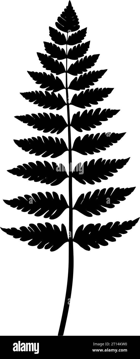 Fern leaf silhouette. Vector illustration Stock Vector Image & Art - Alamy