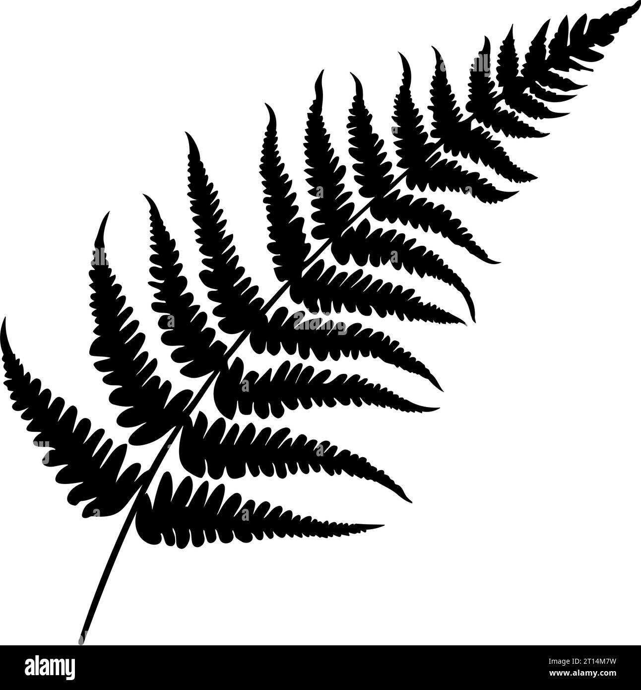 Fern leaf silhouette. Vector illustration Stock Vector Image & Art - Alamy