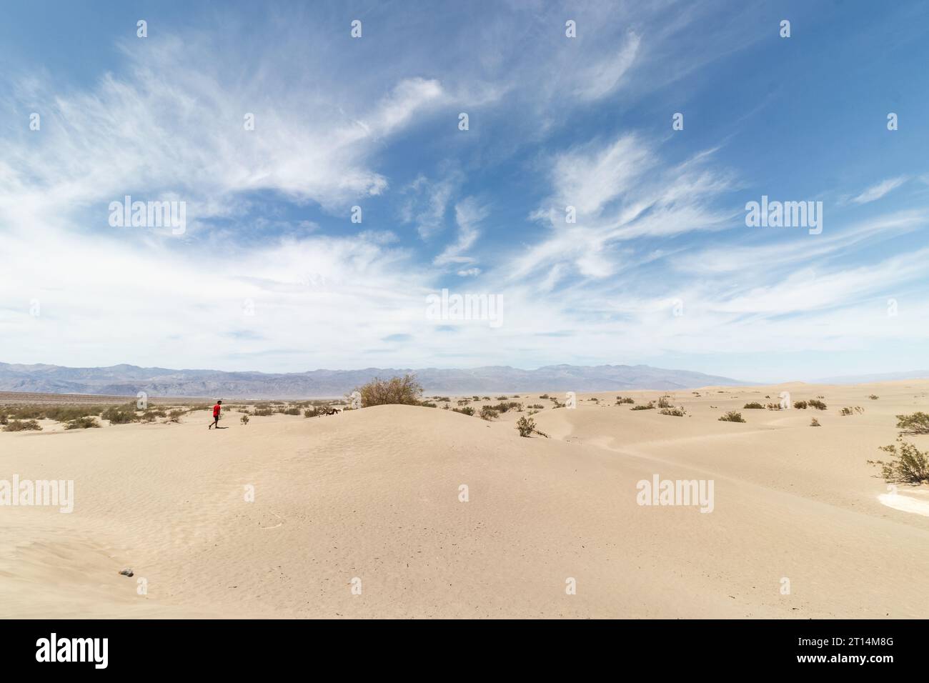 A solitary individual stands in a sandy desert landscape beneath a ...