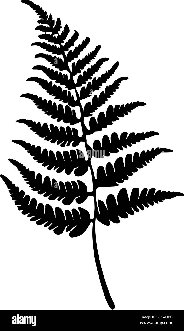 Tree fern cut out Stock Vector Images - Alamy