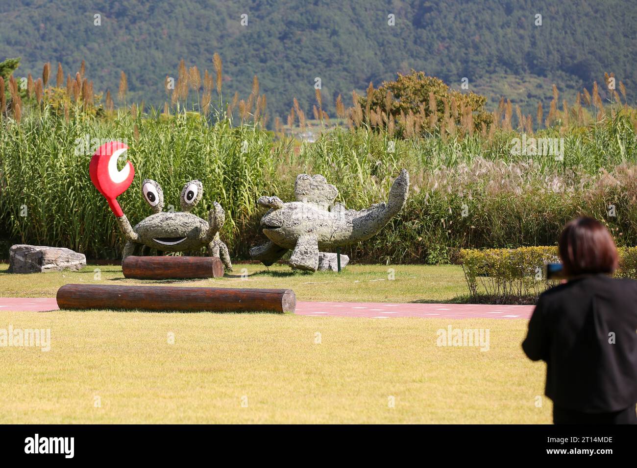 Suncheon, South Korea. 11th Oct, 2023. A tourist takes photos at Suncheon Bay Wetland Reserve in ...
