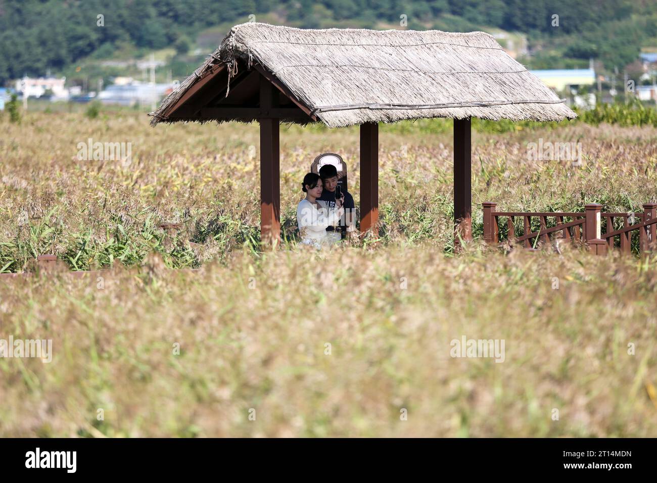 Suncheon, South Korea. 11th Oct, 2023. Tourists take photos at Suncheon Bay Wetland Reserve in ...