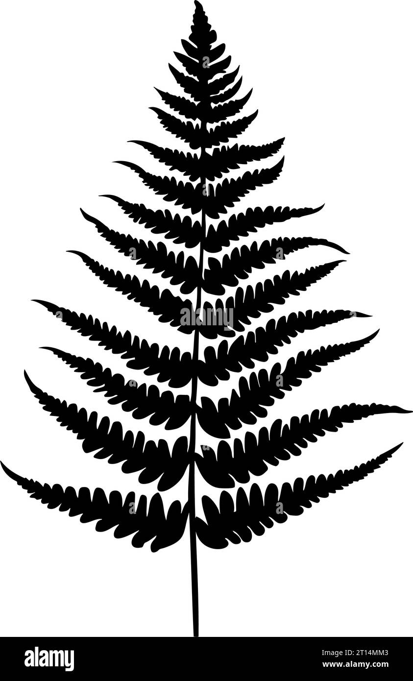 Fern leaf silhouette. Vector illustration Stock Vector Image & Art - Alamy