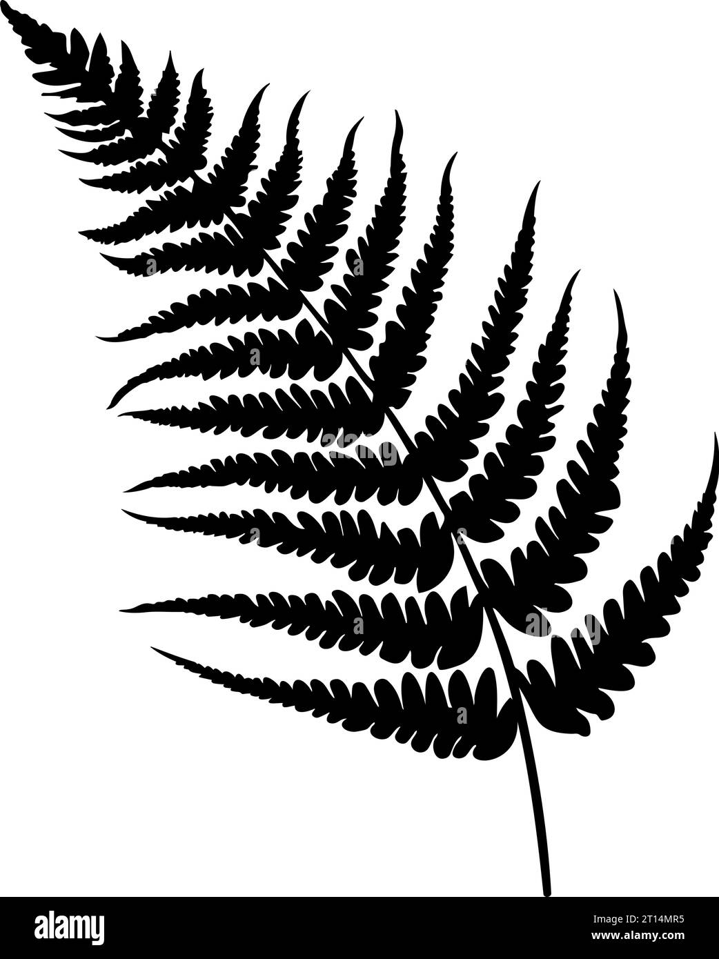 Fern leaf silhouette. Vector illustration Stock Vector Image & Art - Alamy